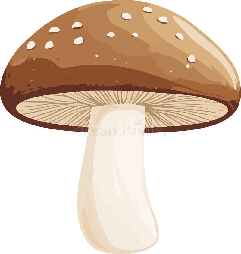 Simple Vector Mushroom Clipart Stock Vector - Illustration of bright ...