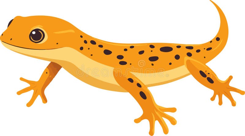 Simple vector newt clipart stock vector. Illustration of designs ...
