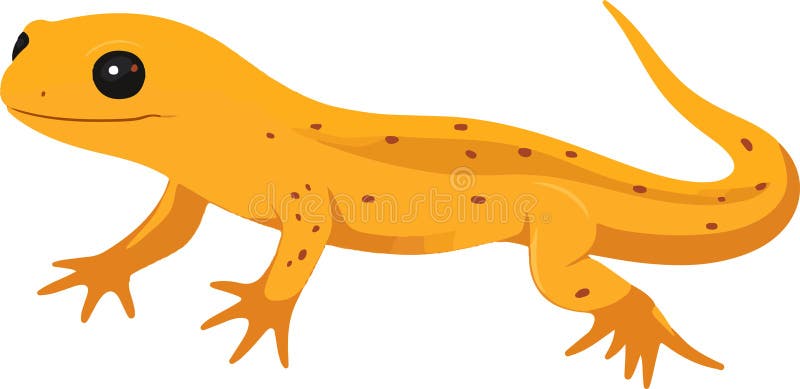 Simple vector newt clipart stock vector. Illustration of flat - 350477583