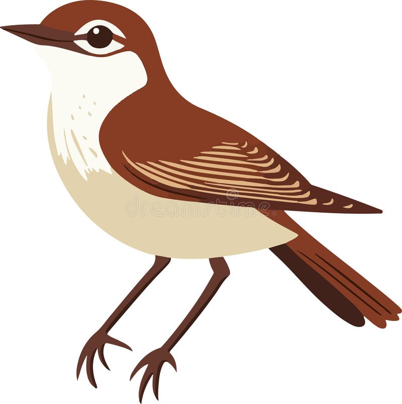 Simple Vector Nightingale Clipart Stock Vector - Illustration of style ...