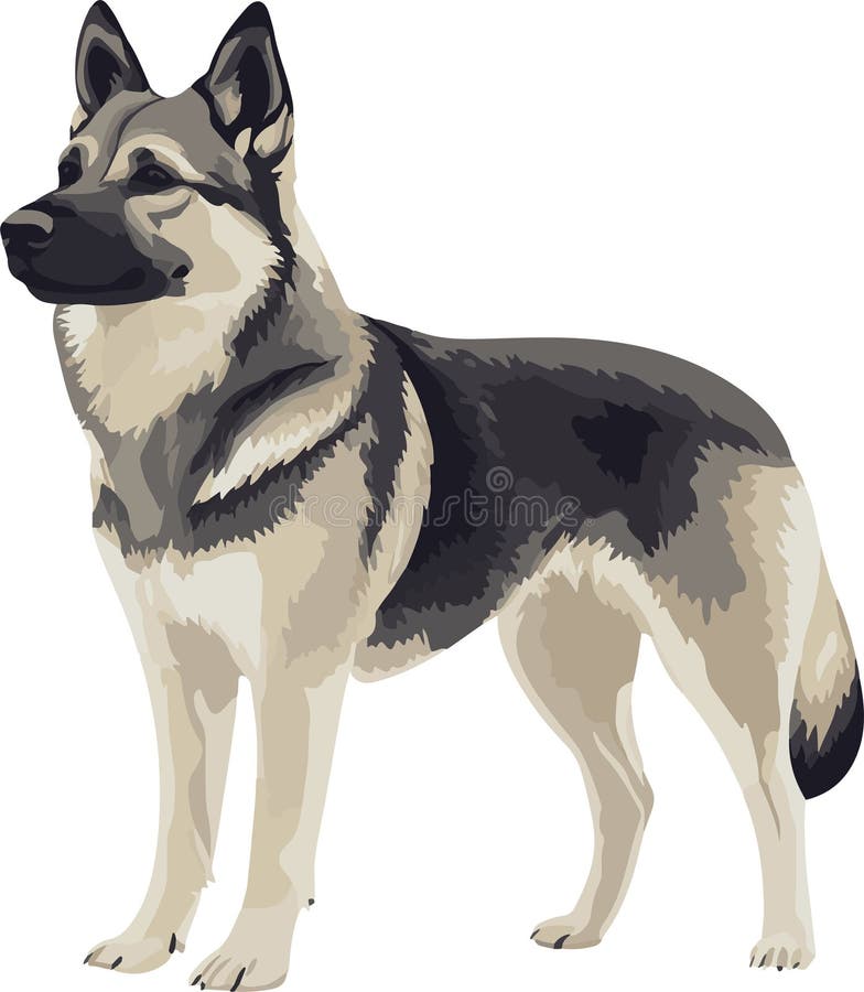 Simple Vector Norwegian Elkhound Clipart Stock Vector - Illustration of ...