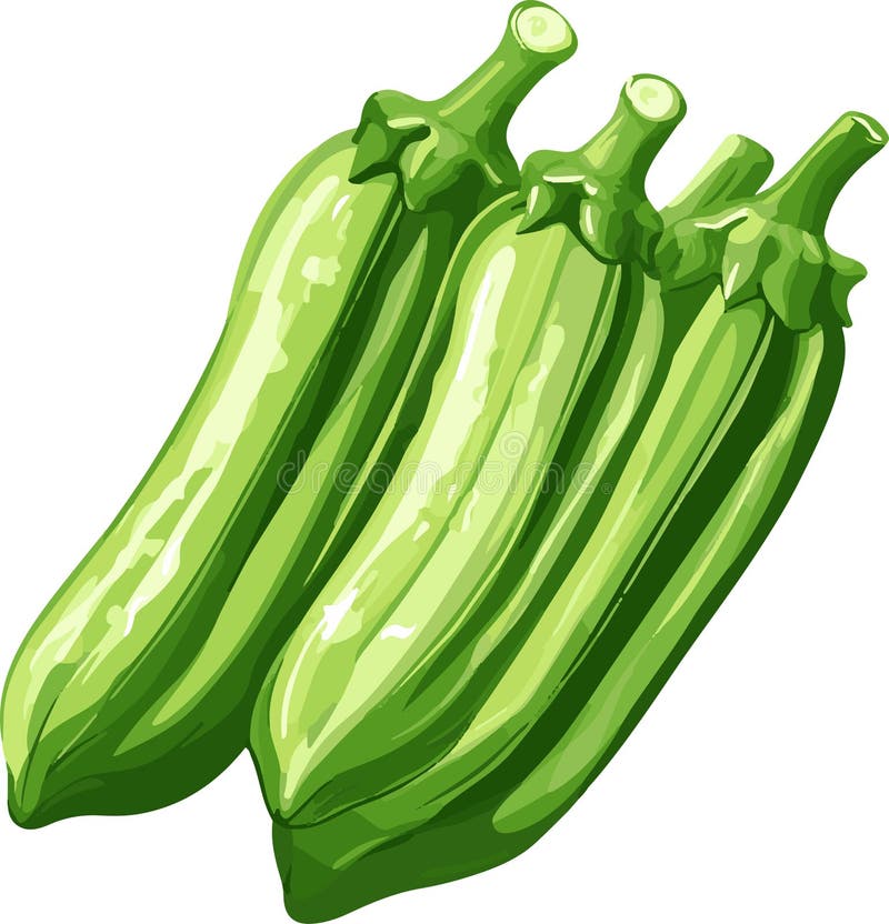 Simple vector okra clipart stock vector. Illustration of kids - 350477660