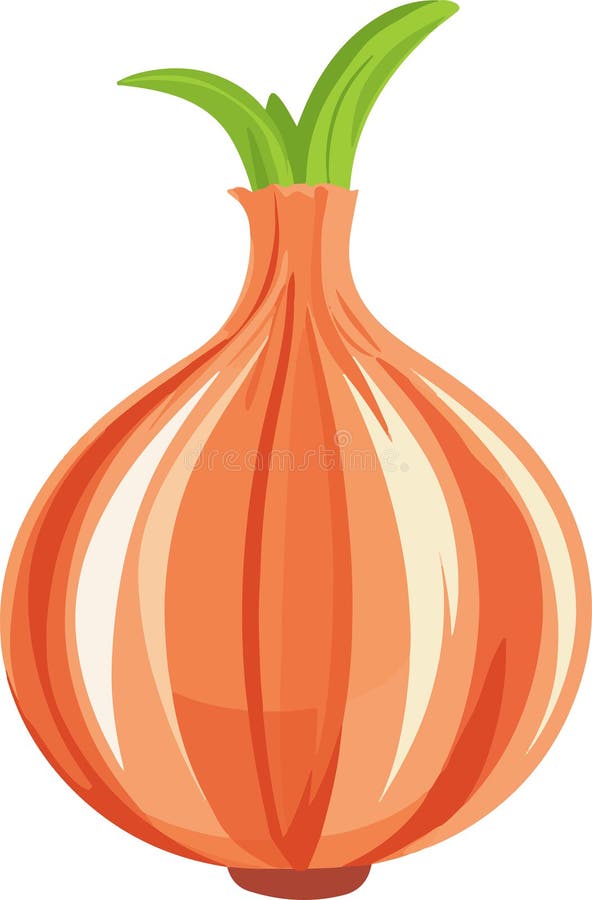 Simple Vector Onion Clipart Stock Vector - Illustration of cute ...