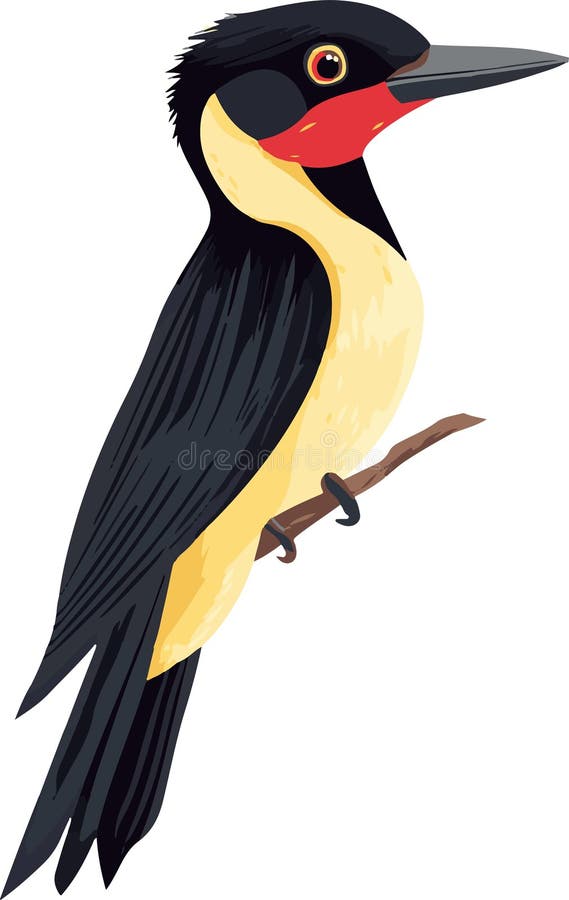 Oxpecker Clipart Stock Illustrations – 8 Oxpecker Clipart Stock ...