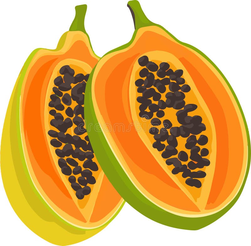 Simple Vector Papaya Clipart Stock Vector - Illustration of papaya ...
