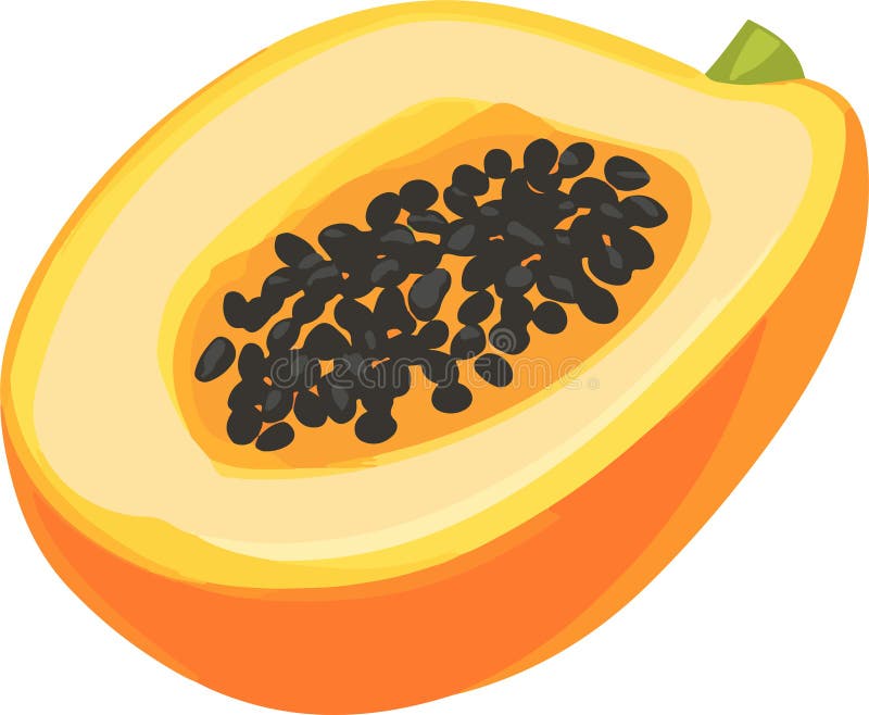 Simple Vector Papaya Clipart Stock Vector - Illustration of graphics ...