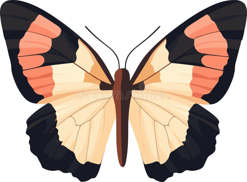 Simple Vector Papillon Clipart Stock Vector - Illustration of editable ...