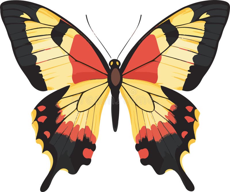 Simple Vector Papillon Clipart Stock Vector - Illustration of style ...