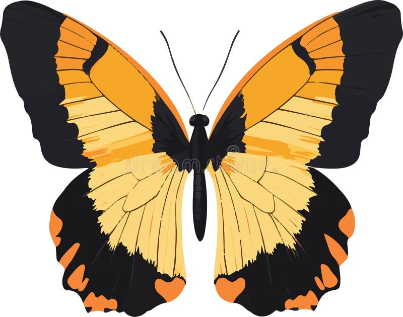 Simple Vector Papillon Clipart Stock Vector - Illustration of basic ...