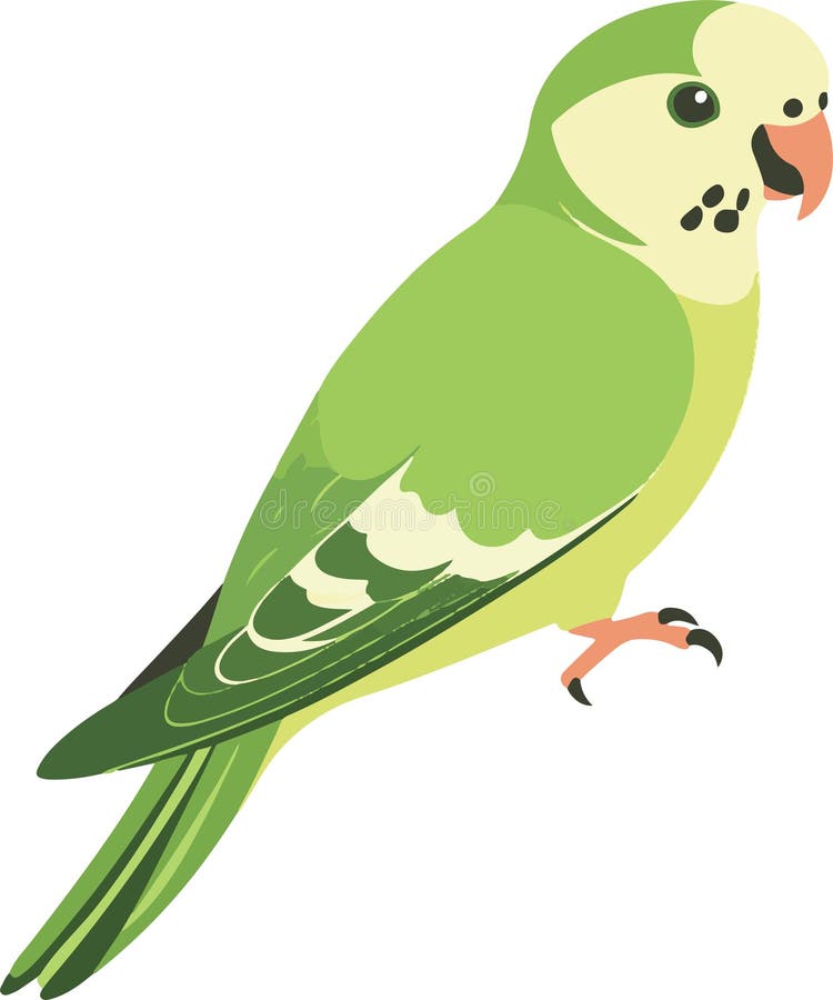 Simple Vector Parakeet Clipart Stock Vector - Illustration of designs ...