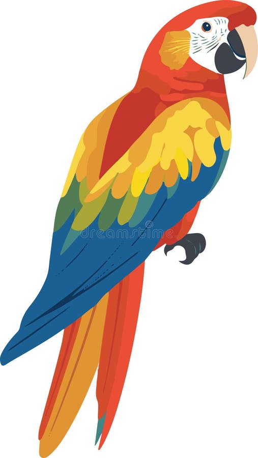 Simple Vector Parrot Clipart Stock Vector - Illustration of clipart ...