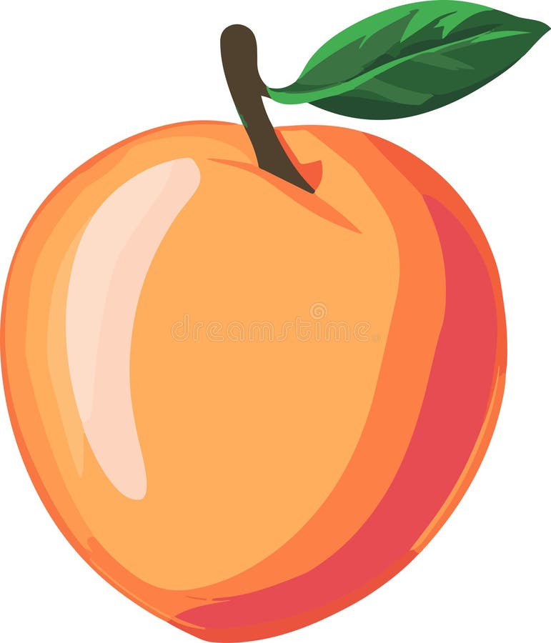 Simple Vector Peach Clipart Stock Vector - Illustration of abstract ...