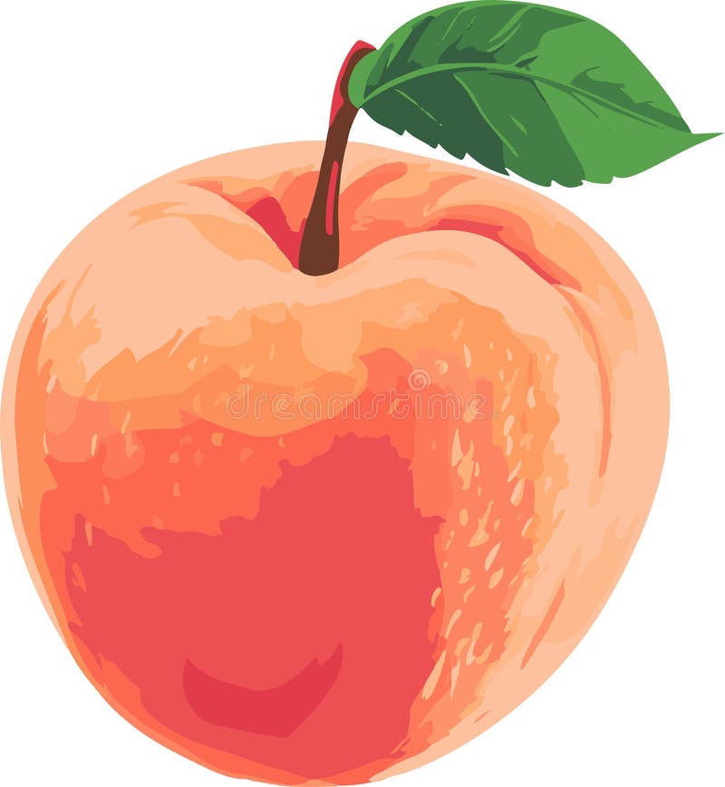 Simple Vector Peach Clipart Stock Vector - Illustration of digital ...