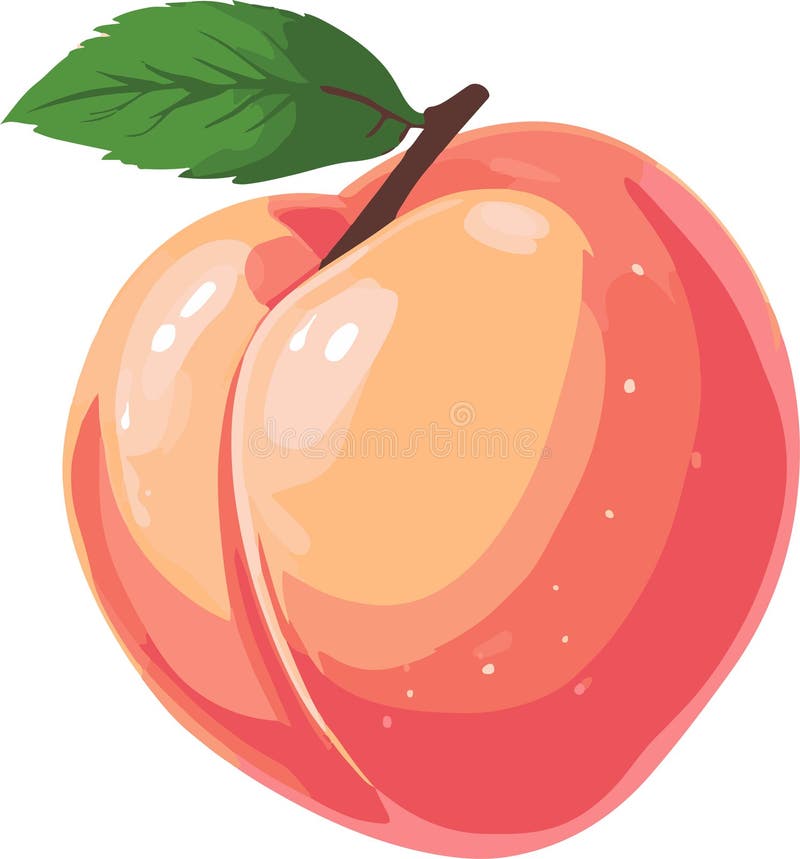 Simple Vector Peach Clipart Stock Vector - Illustration of cute ...
