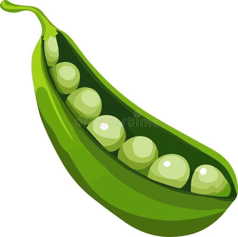 Simple Vector Peapod Clipart Stock Vector - Illustration of bright ...