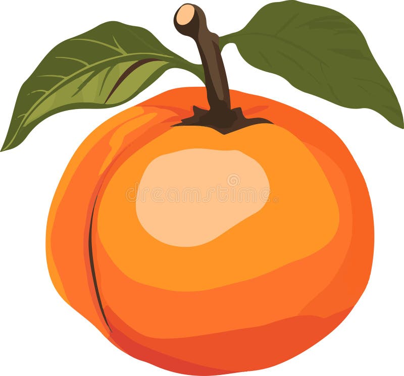 Simple Vector Persimmon Clipart Stock Vector - Illustration of flat ...