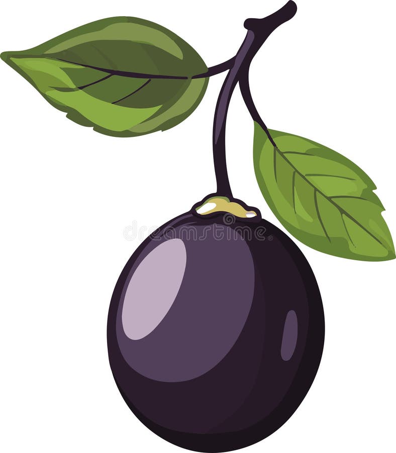 Simple Vector Prune Clipart Stock Vector - Illustration of graphics ...