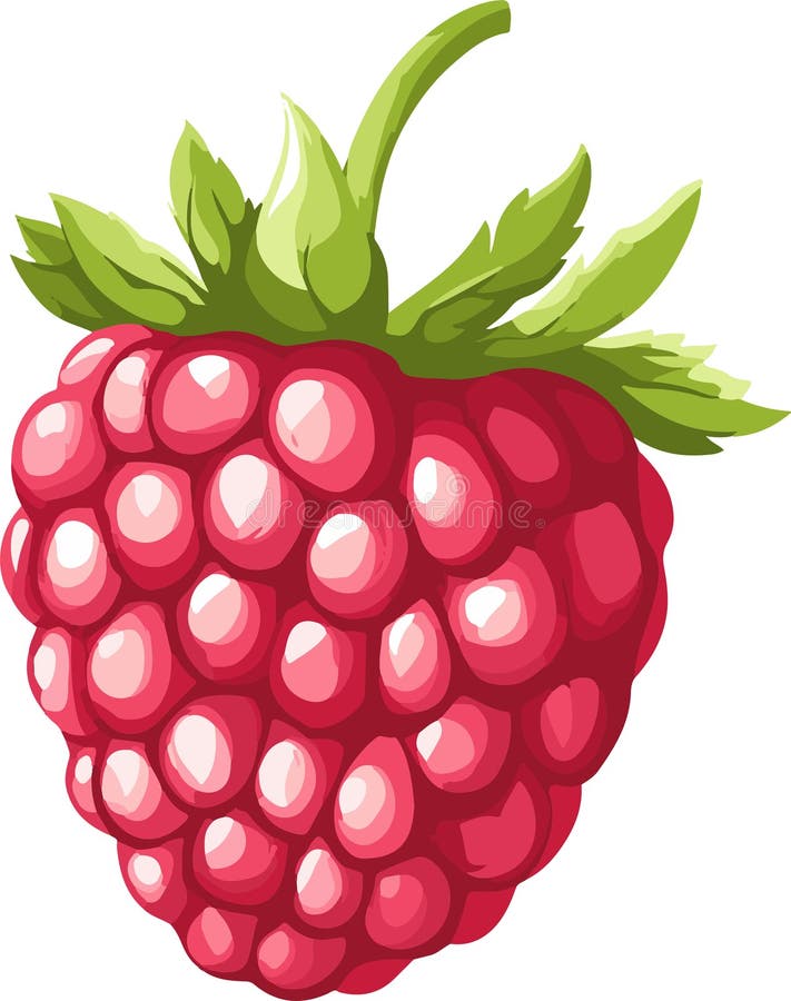 Simple Vector Raspberry Clipart Stock Vector - Illustration of ...