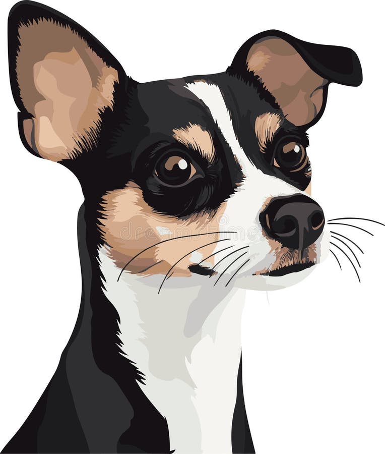 Rat Terrier Stock Illustrations – 347 Rat Terrier Stock Illustrations ...