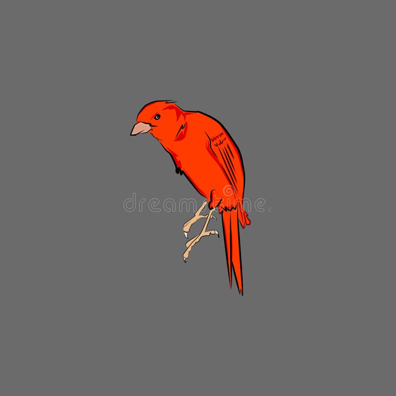 Simple Red Canary for Logo and Wallpaper Stock Illustration ...