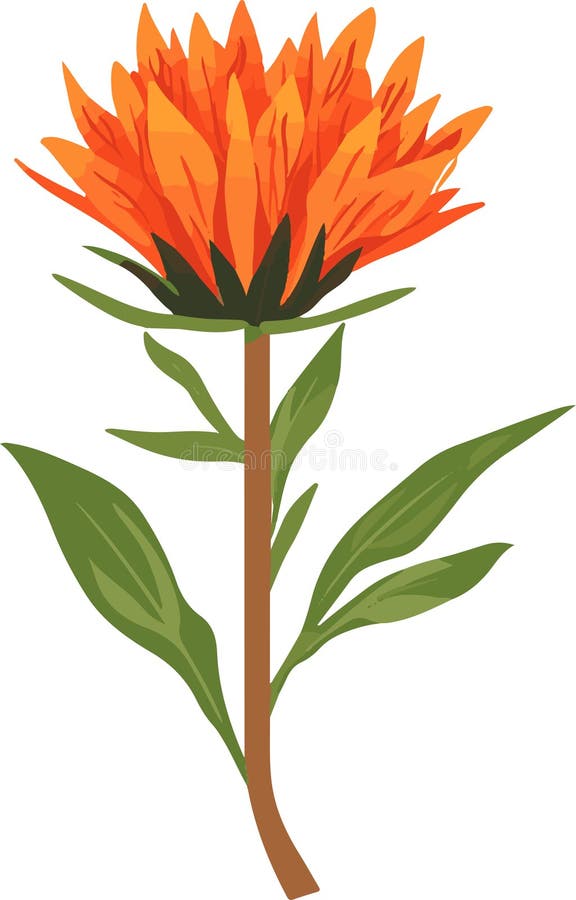 Simple Vector Safflower Clipart Stock Vector - Illustration of simple ...