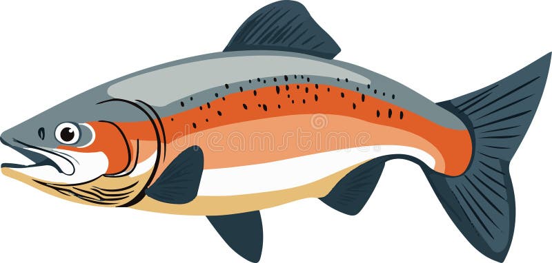 Simple Vector Salmon Clipart Stock Vector - Illustration of ...