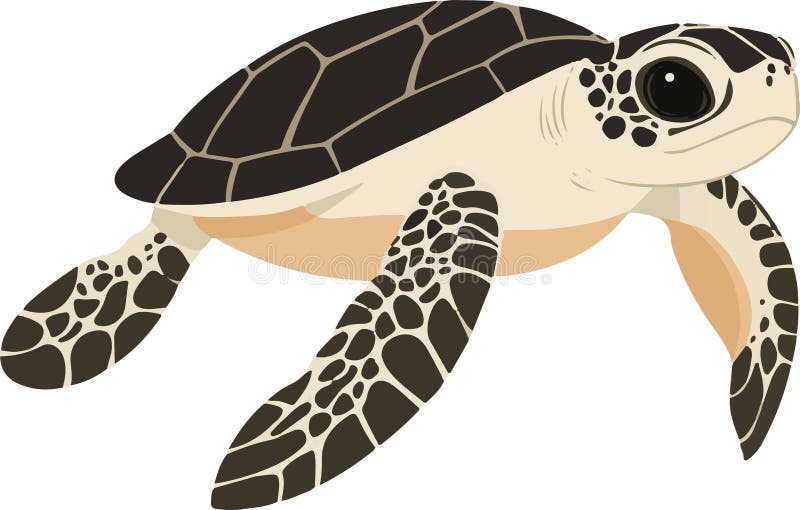 Simple Vector Sea Turtle Clipart Stock Vector - Illustration of ...