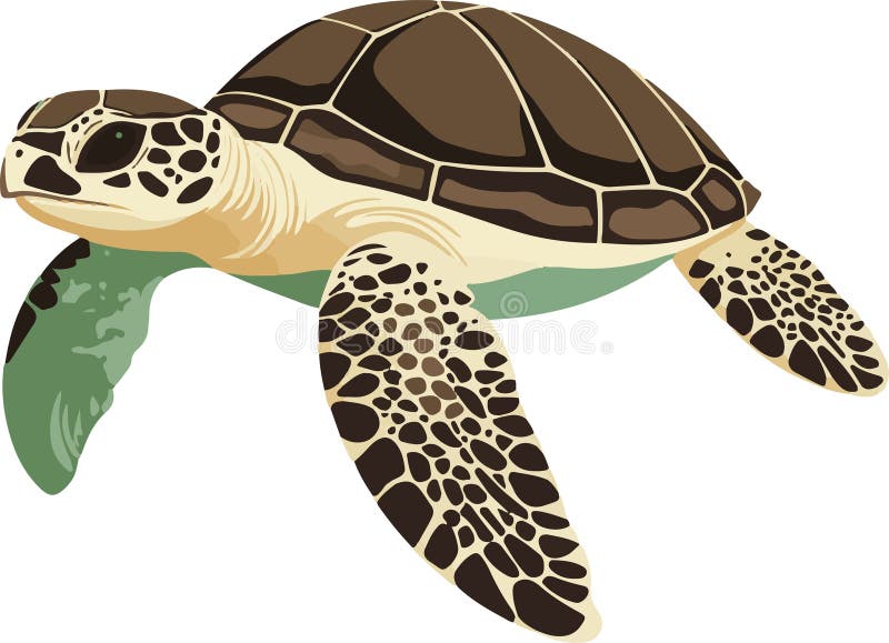 Simple Vector Sea Turtle Clipart Stock Vector - Illustration of ...