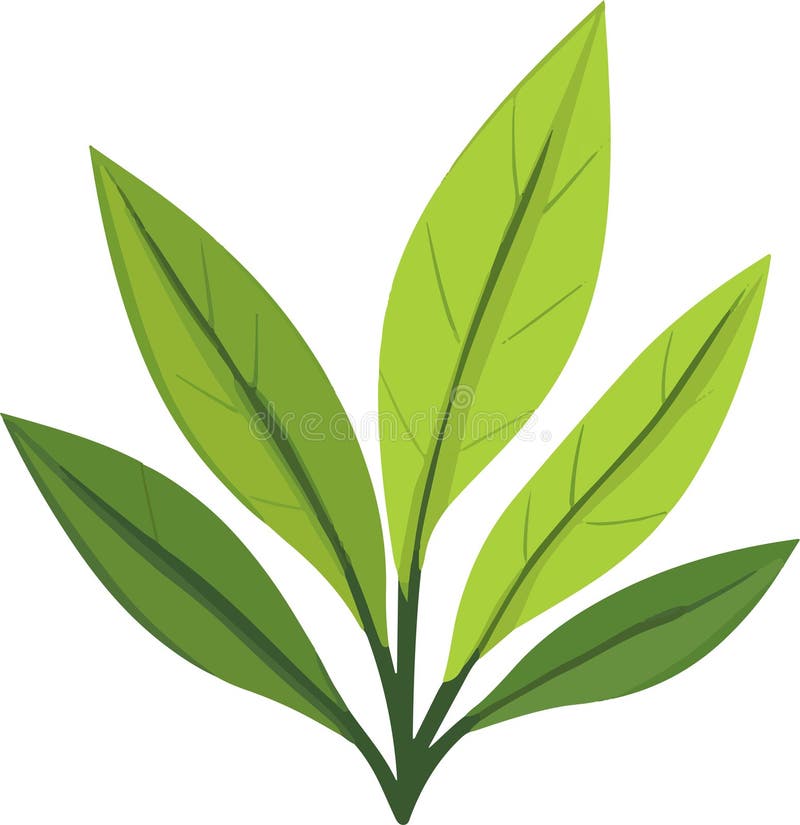 Simple Vector Sepal Clipart Stock Vector - Illustration of graphics ...