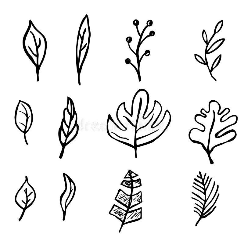 Simple Vector Set 12 Leaves Stock Vector - Illustration of hand ...