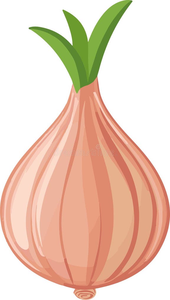 Simple Vector Shallot Clipart Stock Vector - Illustration of graphic ...