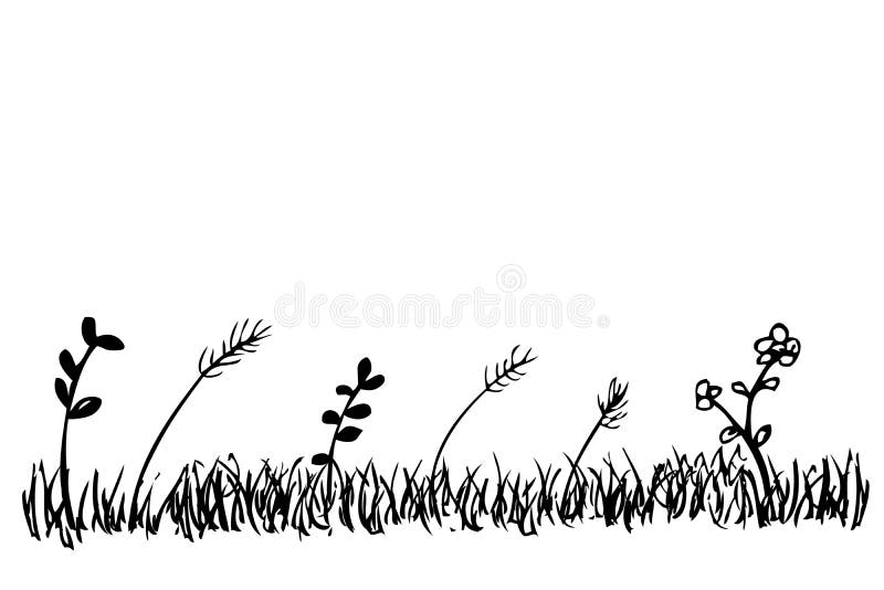 Simple Vector Silhouette Hand Draw Sketch Grass, Weed and Wild Flower ...