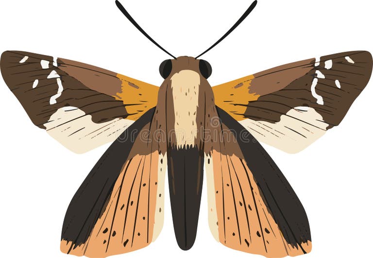 Simple Vector Skipper Clipart Stock Vector - Illustration of cute ...