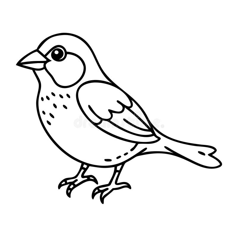 Simple Vector Sparrow Illustration for Coloring Books and Design ...