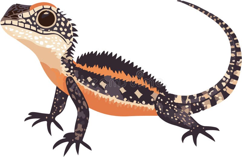 Simple Vector Spiny Lizard Clipart Stock Vector - Illustration of ...