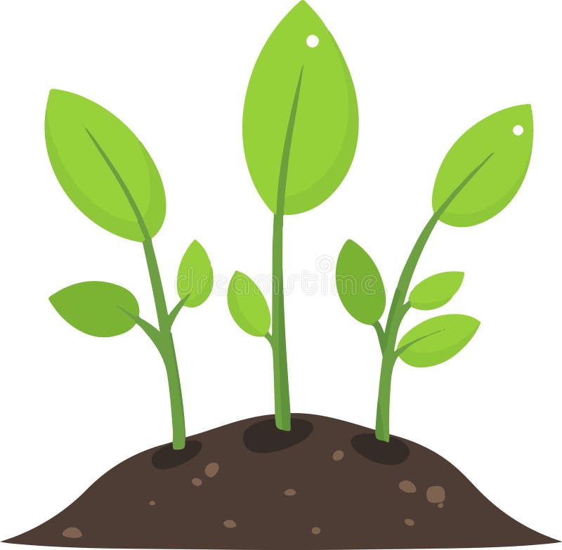 Simple Vector Sprouts Clipart Stock Vector - Illustration of bold ...