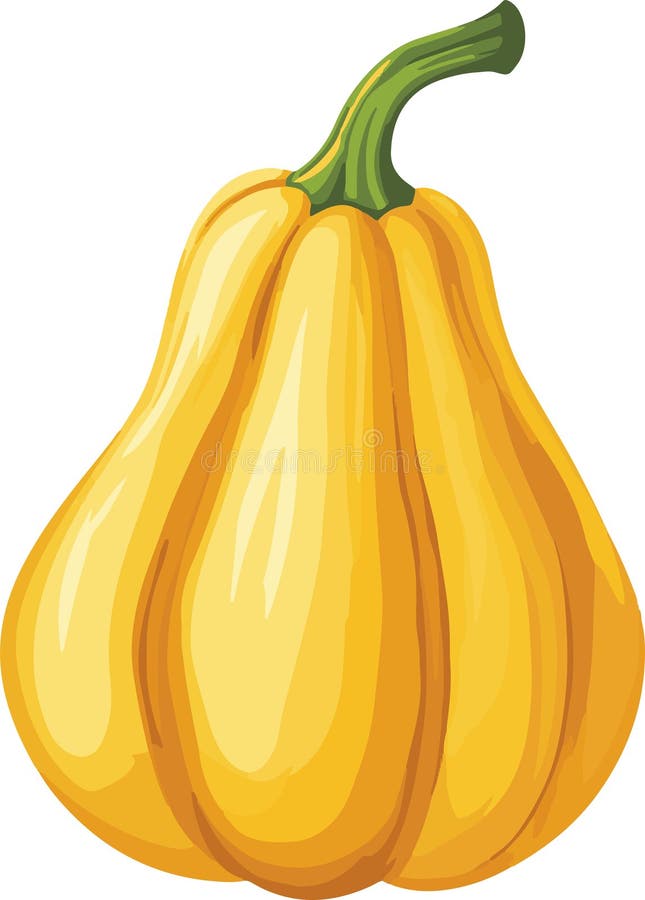 Simple Vector Squash Clipart Stock Vector - Illustration of ...