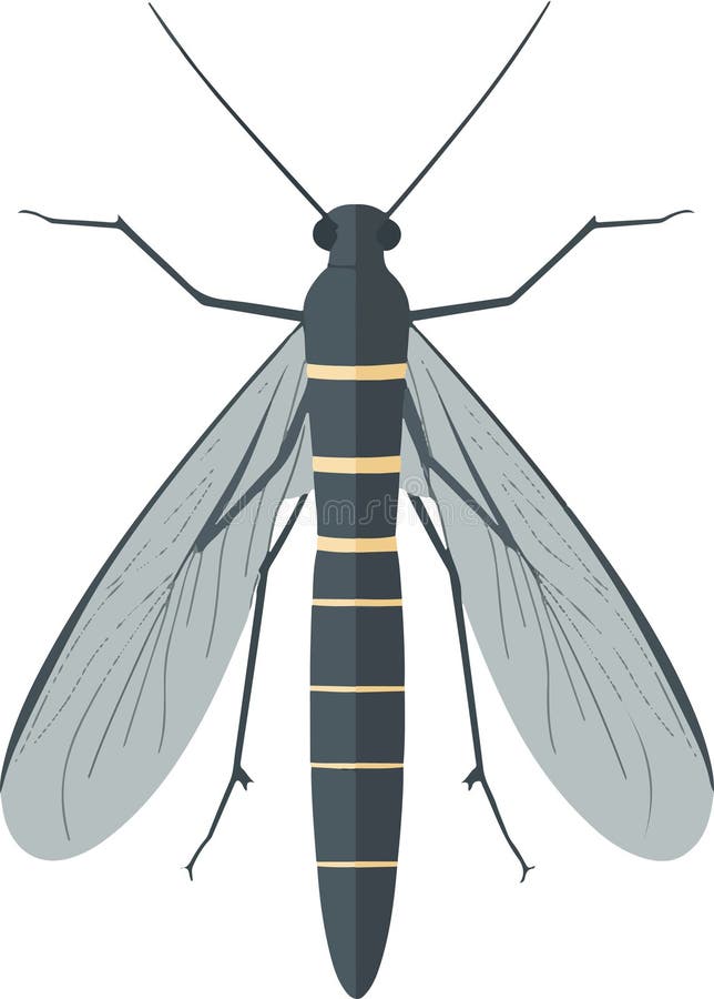 Stonefly Clipart Stock Illustrations – 16 Stonefly Clipart Stock ...