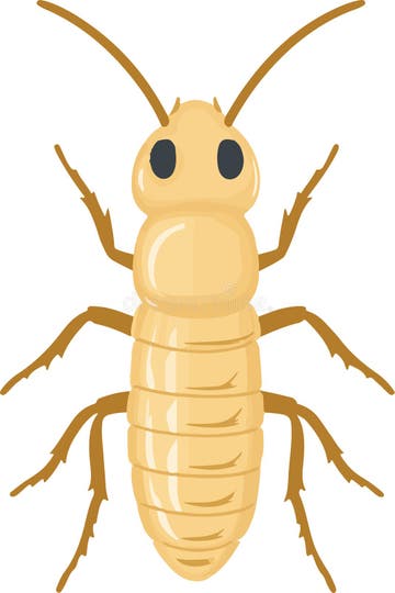 Simple Vector Termite Clipart Stock Vector - Illustration of designs ...