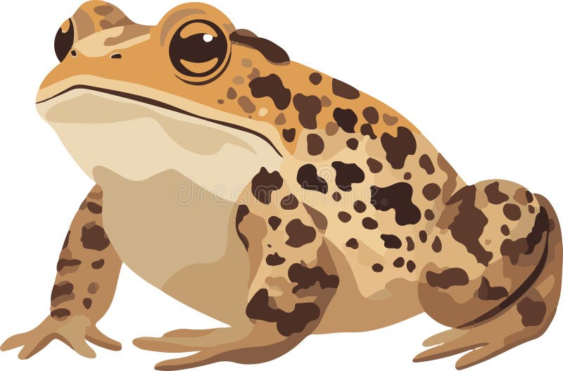 Simple vector toad clipart stock vector. Illustration of icons - 350479207