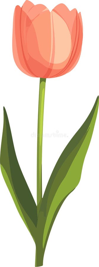 Simple Vector Tulip Clipart Stock Vector - Illustration of cartoon ...
