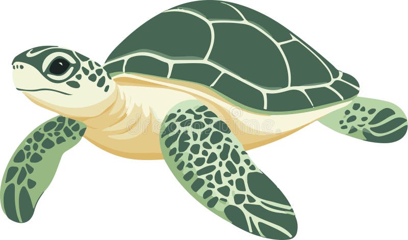 Simple Vector Turtle Clipart Stock Vector - Illustration of decorative ...