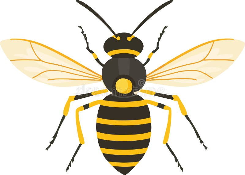 Simple vector wasp clipart stock vector. Illustration of designs ...