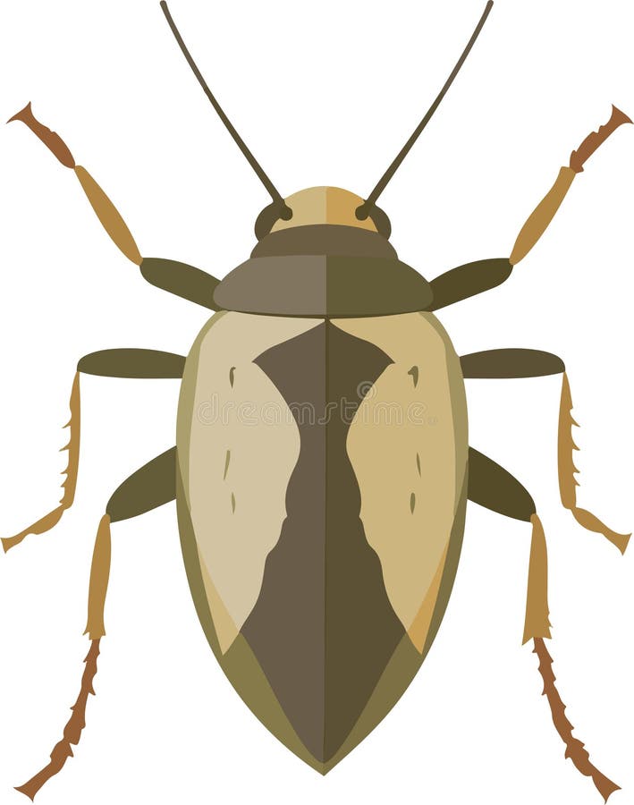 Simple Vector Waterbug Clipart Stock Vector - Illustration of cartoon ...