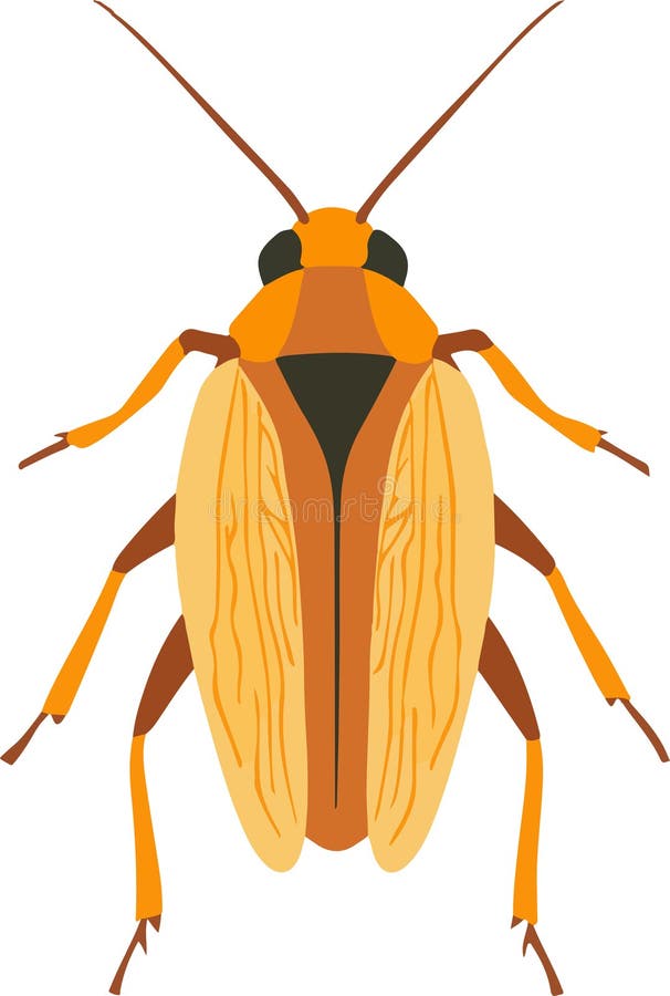 Simple Vector Waterbug Clipart Stock Vector - Illustration of designs ...