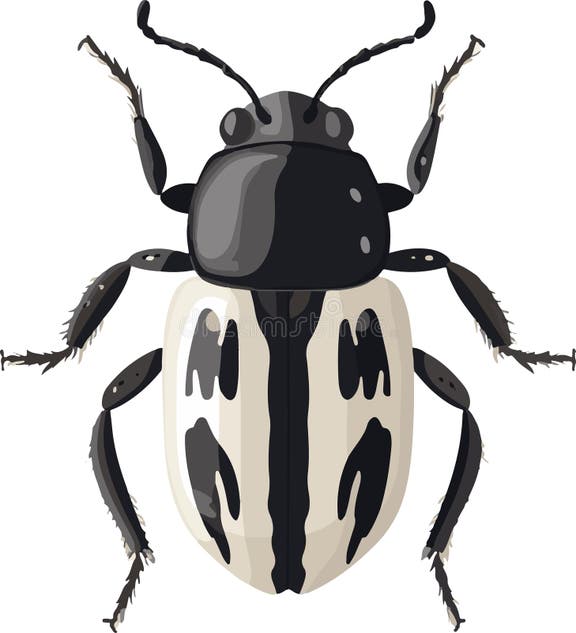 Simple Vector Weevil Clipart Stock Vector - Illustration of weevil ...