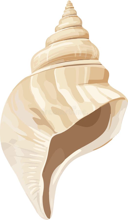 Simple Vector Whelk Clipart Stock Vector - Illustration of printable ...