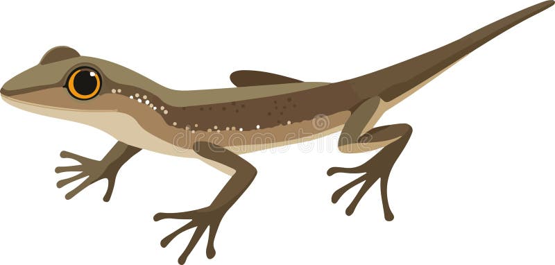 Simple Vector Xenops Clipart Stock Vector - Illustration of digital ...