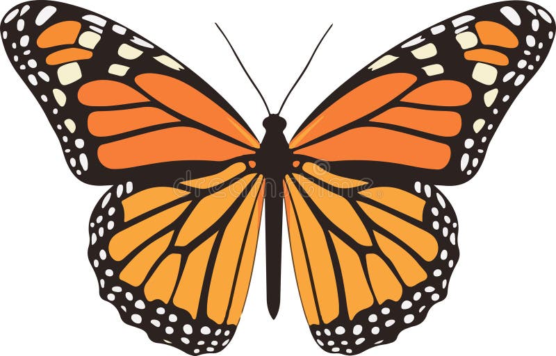 Simple Vectorial Monarca Mariposa Clipart Ilustración del Vector ...