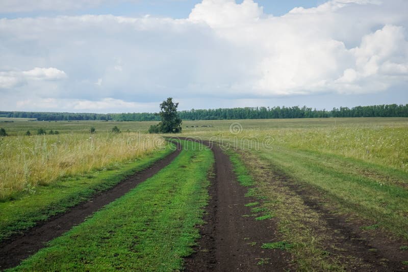 Simple Village Dirt Road in Russia Stock Image - Image of scenery ...